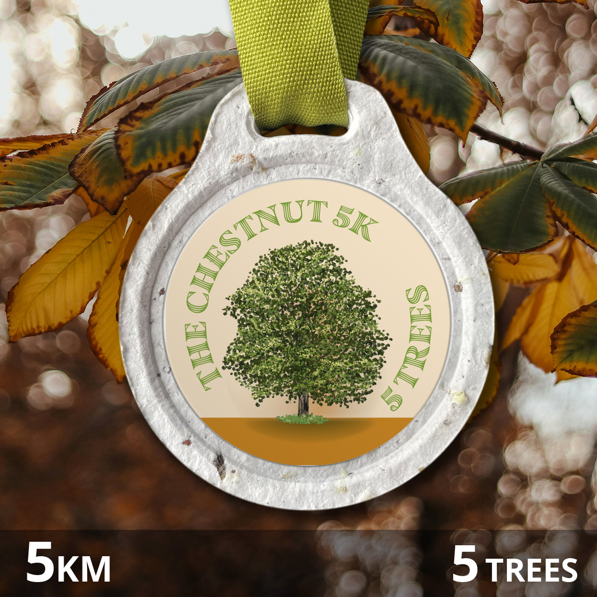 Earthruns | TREE CHALLENGE: THE CHESTNUT TREE 5k